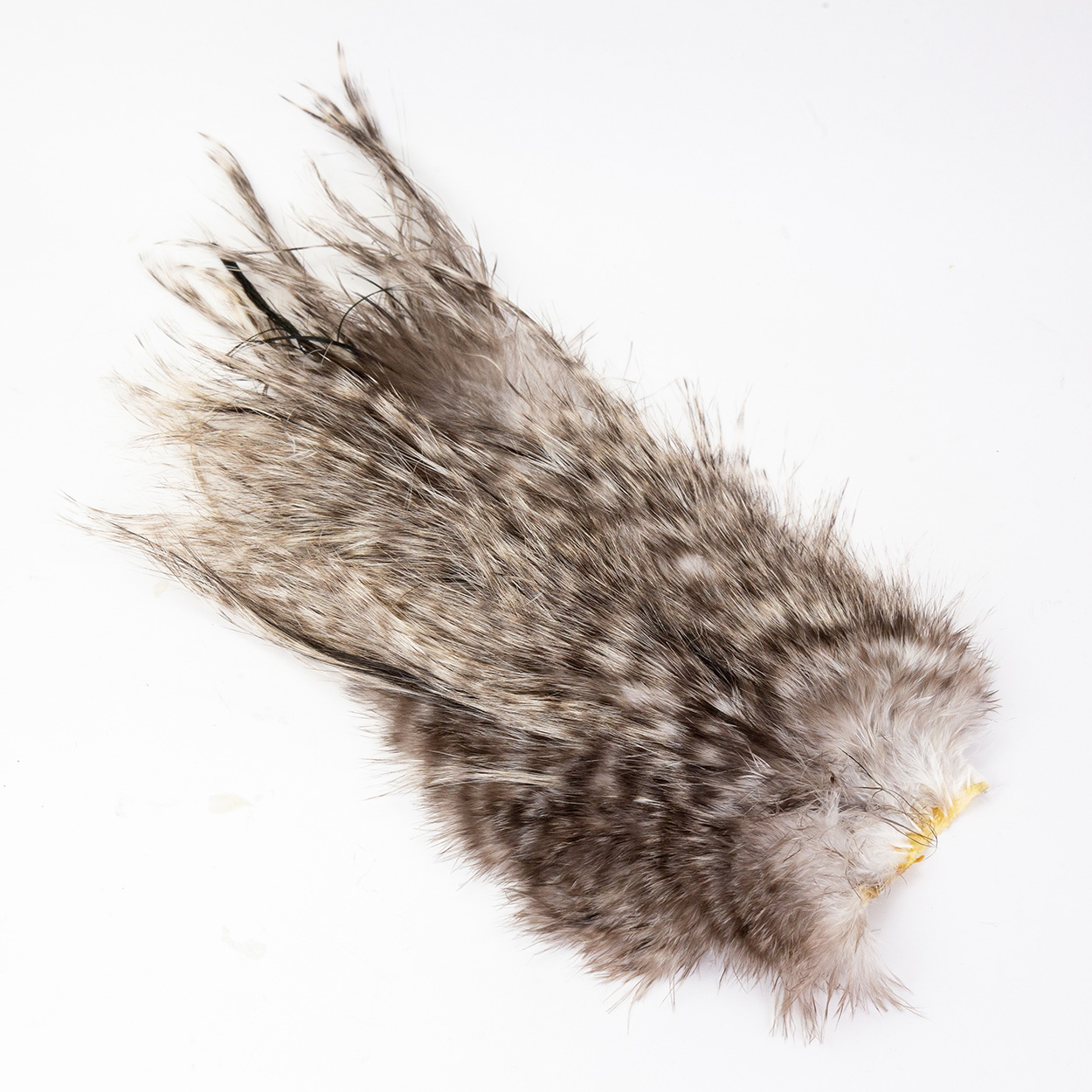 Whiting Bird Fur - die Alternative zu Whiting Spey Hecheln