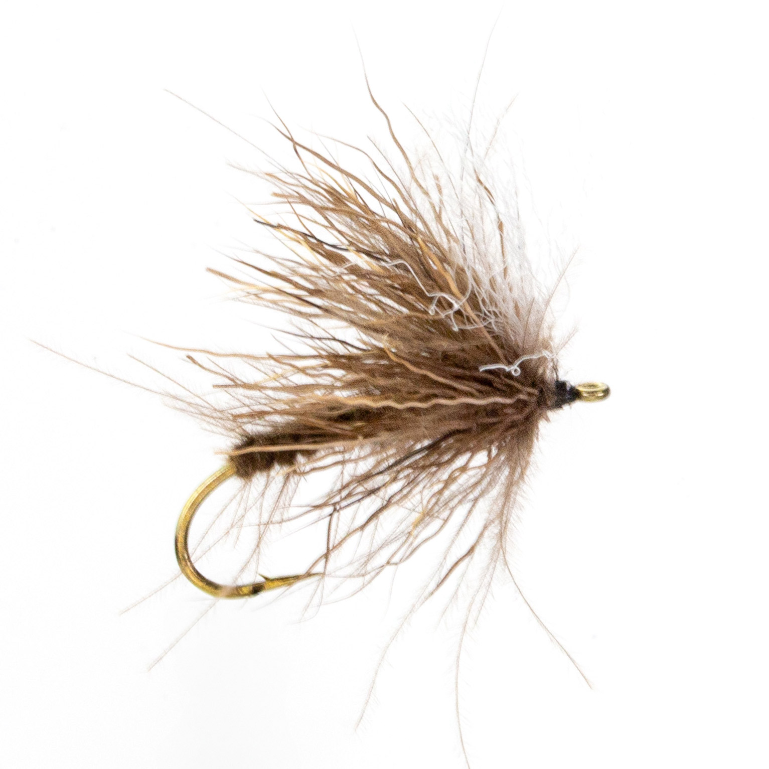 CDC Caddis Teenager - schlüpfende Köcherfliege