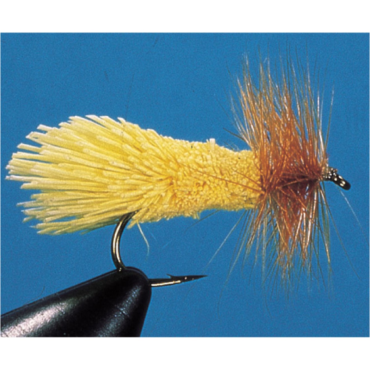 Yellow Goddard Sedge