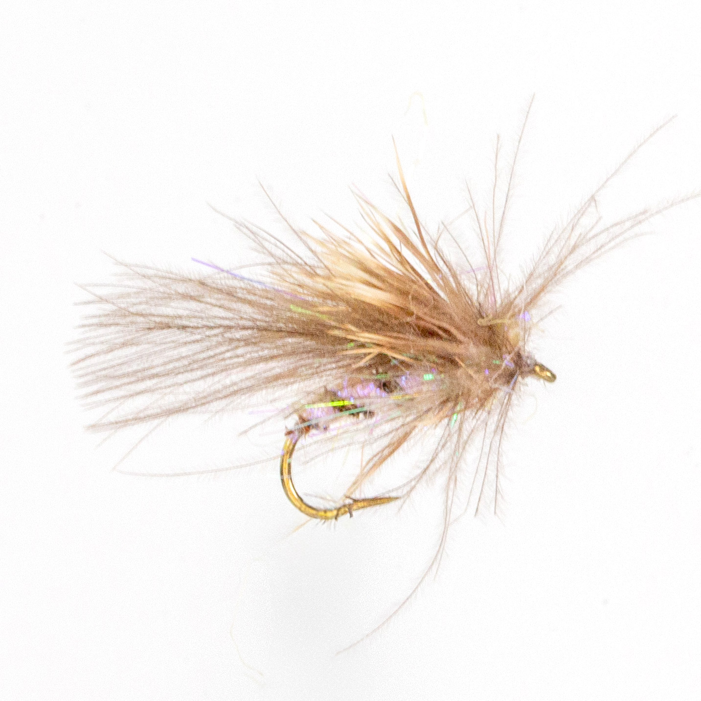 CDC Fluttering Caddis - eine startende Köcherfliege