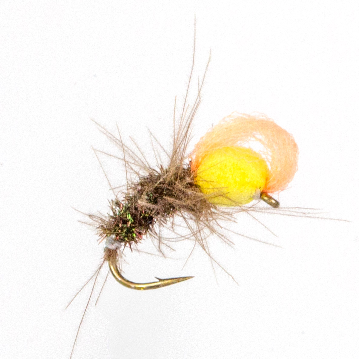 CDC Caddis Pupa - perfekte Imitation einer Köcherfliege