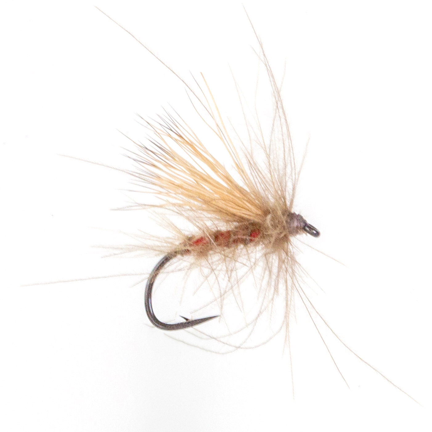 CDC Buck Caddis Trockenfliege - tolles Köcherfliegenmuster