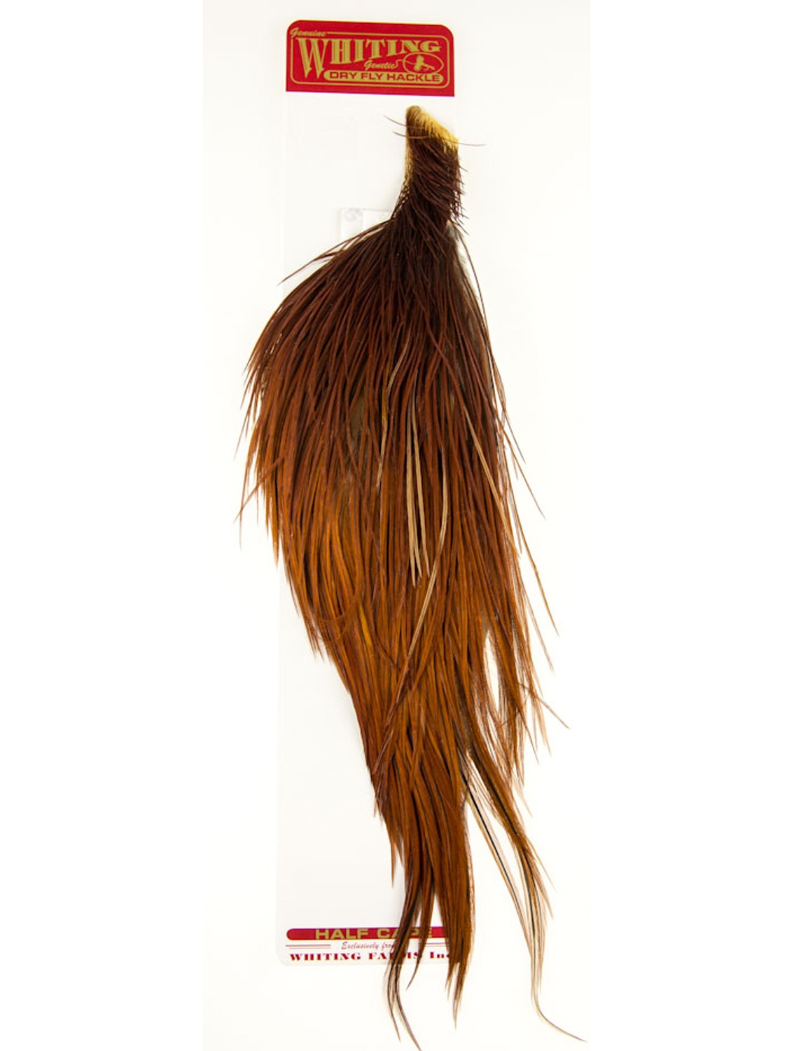 Whiting 1/2 Balg (Qualität pro-grade)