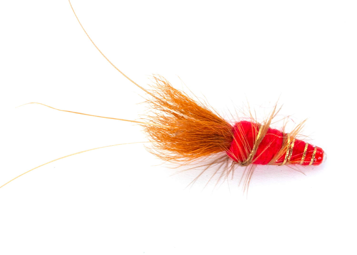 Frances-Red Tubenfliege