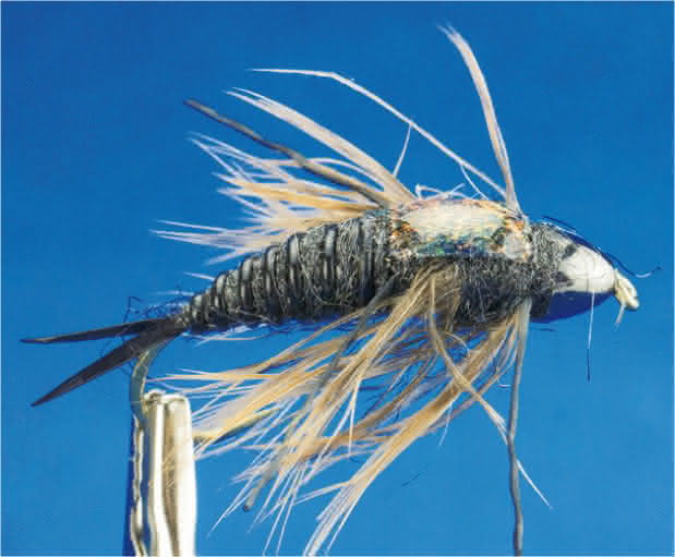 Stonefly Nymph, black