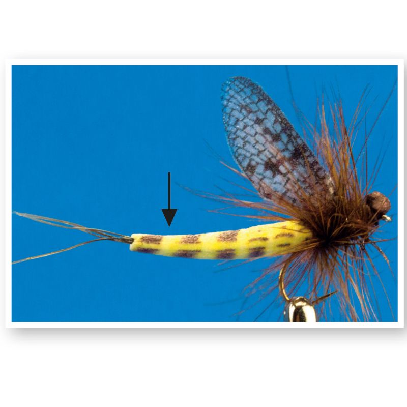 True Mayfly Bodies