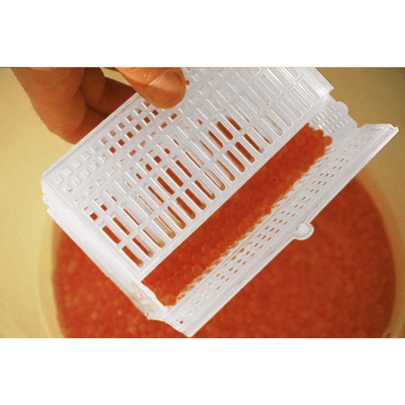 WV Box - Whitlock Vibert Fisch Aufzuchtbox